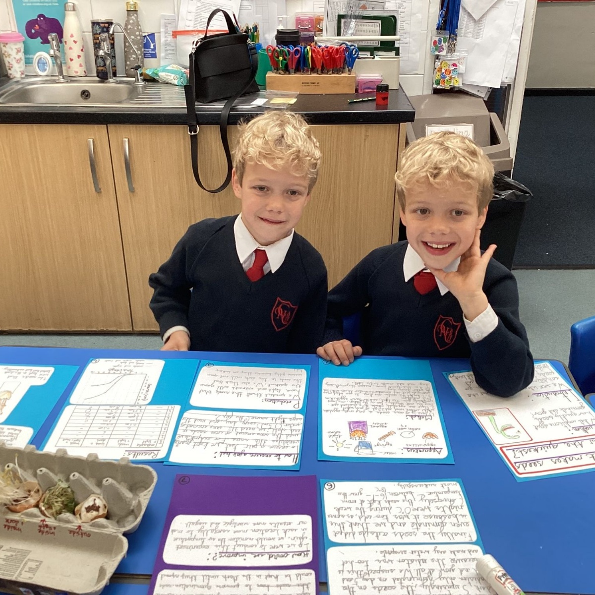 Cardinal Newman Catholic Primary School - Year 2 - Science Fair