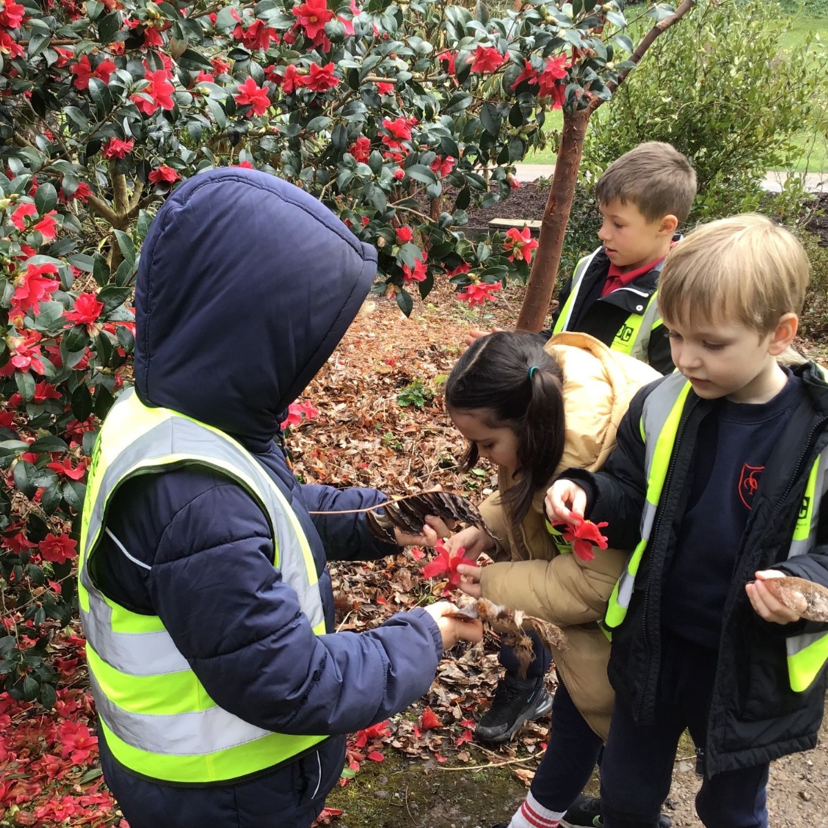 Cardinal Newman Catholic Primary School - Year 2 - Wisley