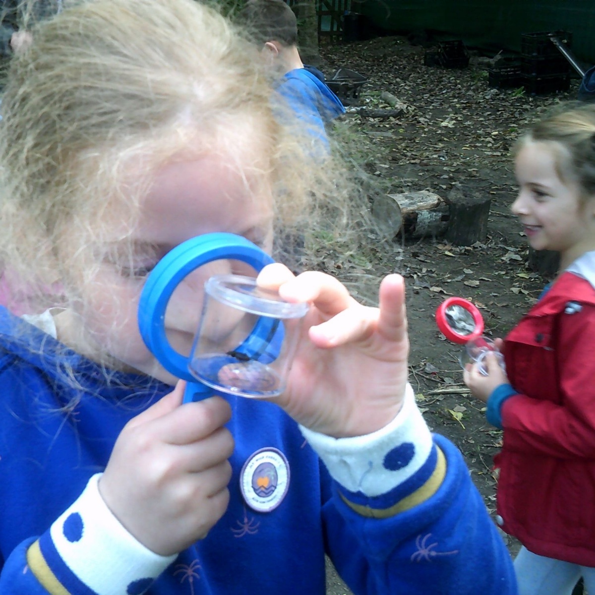 Cardinal Newman Catholic Primary School - Violet Class - Forest School
